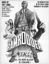 The Ramrodder (1969) - Flickchart